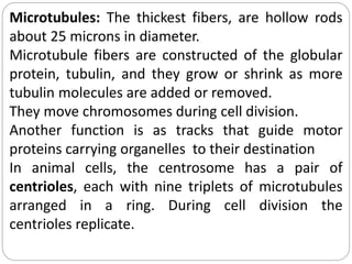biology7 cell structrue.................. | PPTX