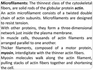 biology7 cell structrue.................. | PPT