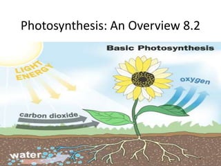 Biology 8.2 | PPTX