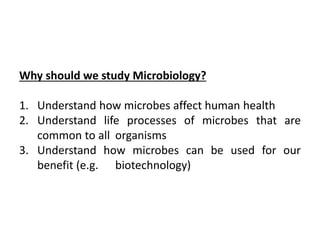 Introduction to the Medical Microbiology : | PPTX