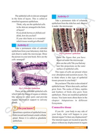 Biology 9th Class reader for the high school children. | PPT