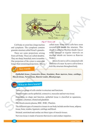 Biology 9th Class reader for the high school children. | PPT