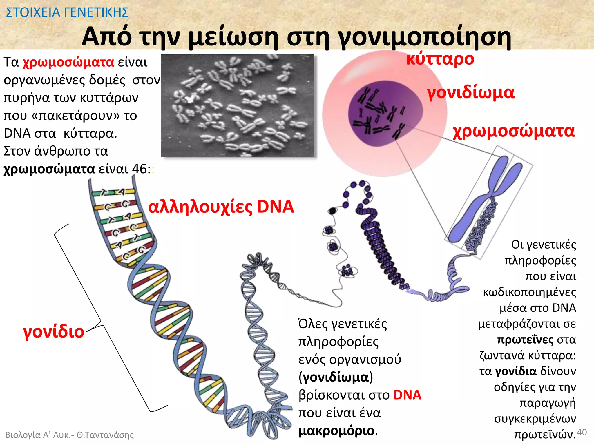 Biologyalyk kef12-191209001402 | PDF