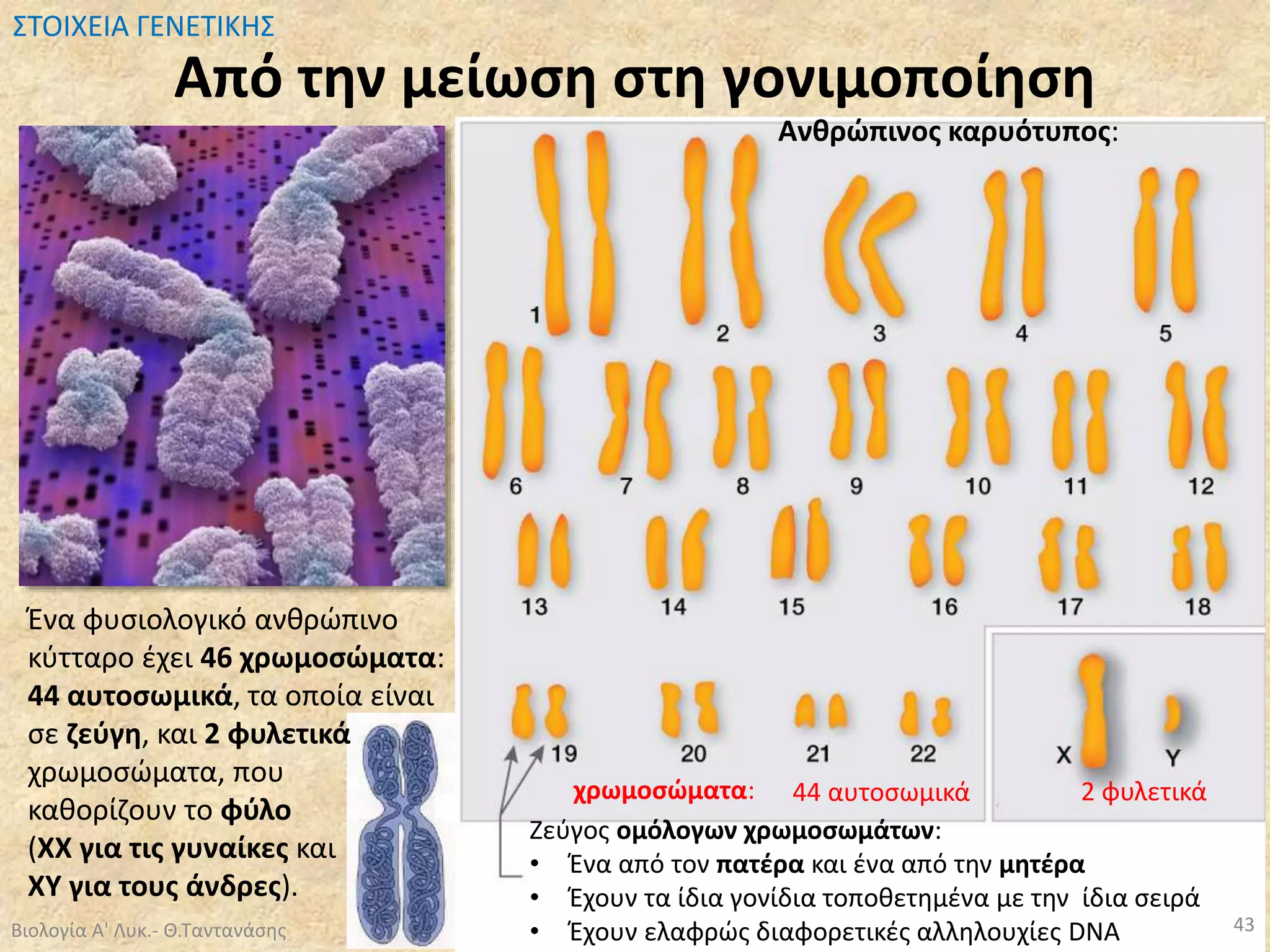 Biologyalyk kef12-191209001402 | PDF