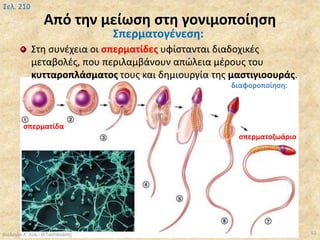 Biology a lyk-kef12 | PPTX