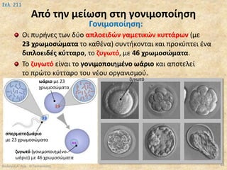 Biology a lyk-kef12 | PPTX