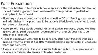 Biology and Aquaculture economics of Silver Pompano a Brackish water ...