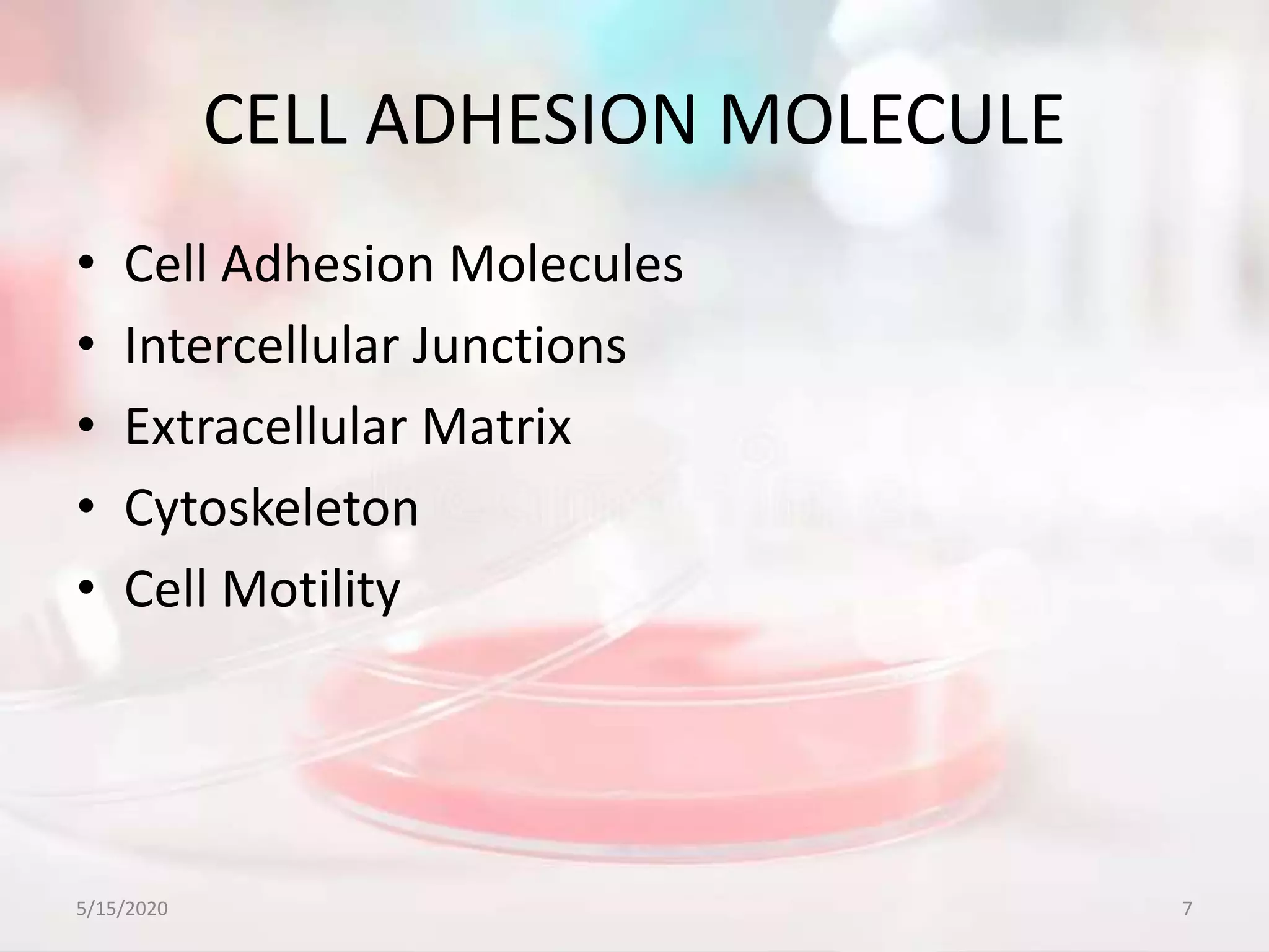 Biology and characterization of the cell culture | PPTX