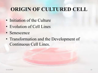 Biology and characterization of the cell culture | PPTX