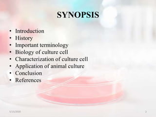 Biology and characterization of the cell culture | PPTX