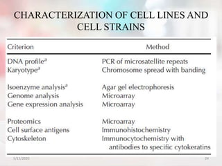 Biology and characterization of the cell culture | PPTX