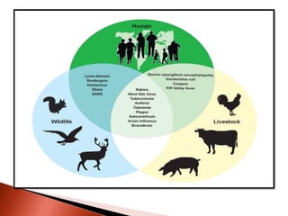 Biology and Control of Vertebrate Pests.pdf