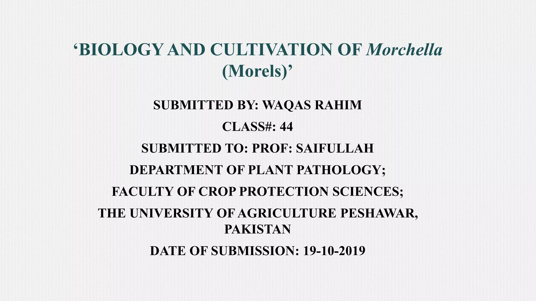 Biology and cultivation of morchella | PPTX