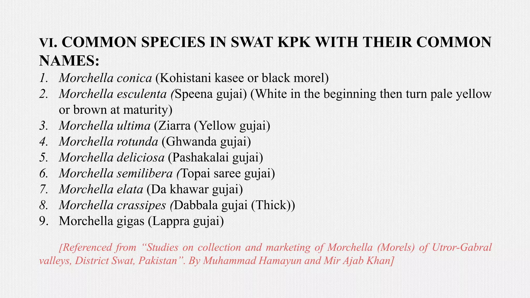 Biology and cultivation of morchella | PPTX