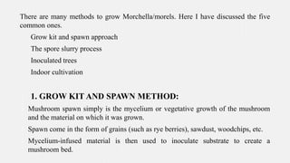 Biology and cultivation of morchella | PPTX