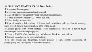 Biology and cultivation of morchella | PPTX