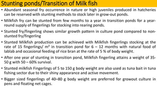 Biology and Farming Economics of Production Milk fish by B.pdf