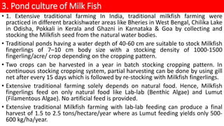Biology and Farming Economics of Production Milk fish by B.pdf
