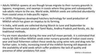 Biology and Farming Economics of Production Milk fish by B.pdf