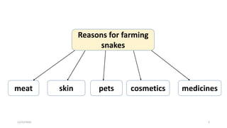 Biology and farming of corn snake (pet snake) | PPTX