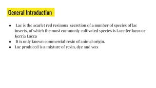 biology and host plants of lac insects.pptx