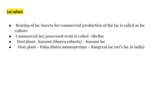 biology and host plants of lac insects.pptx