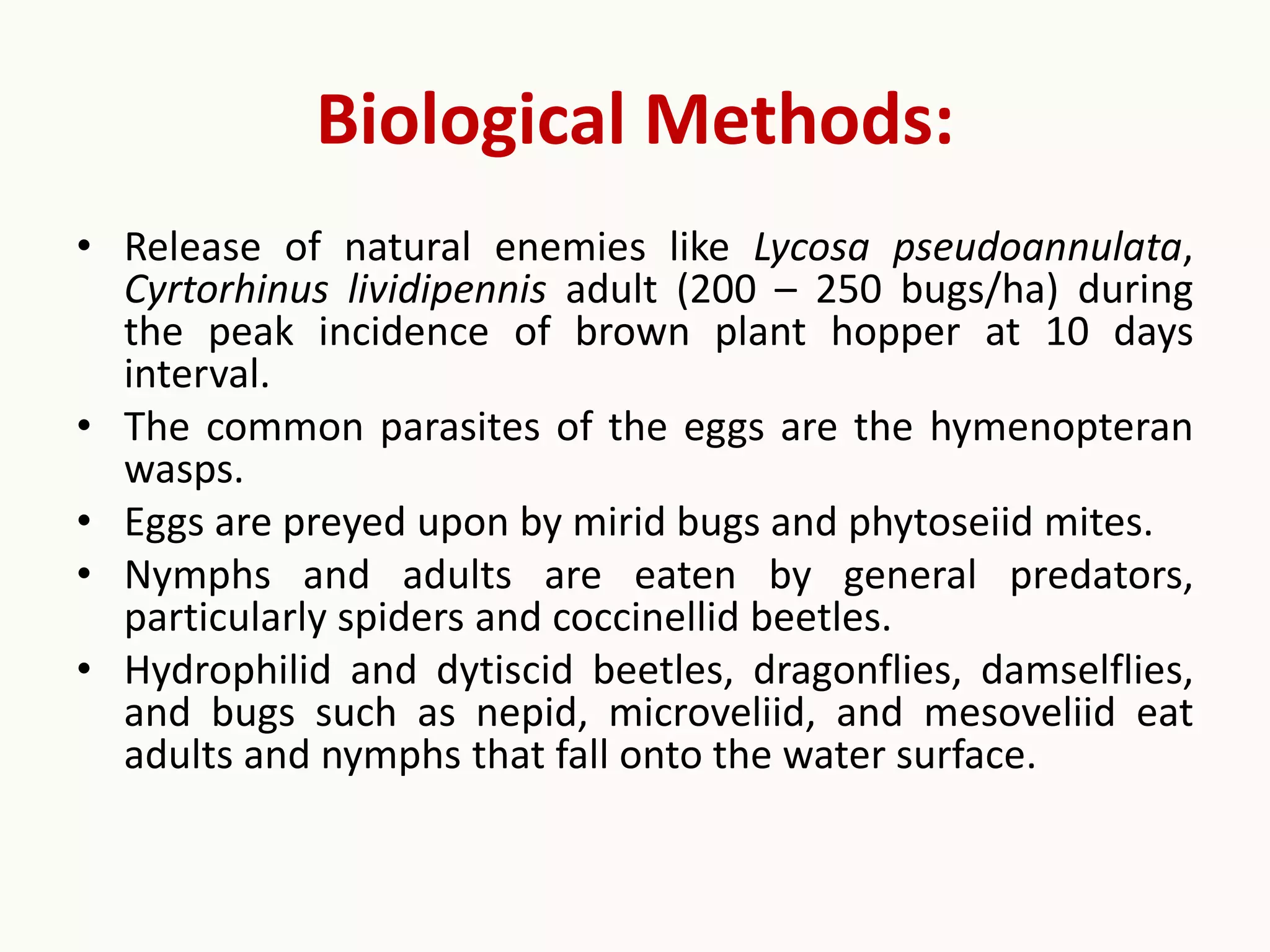 Biology and management of brown plant hopper ( | PPTX