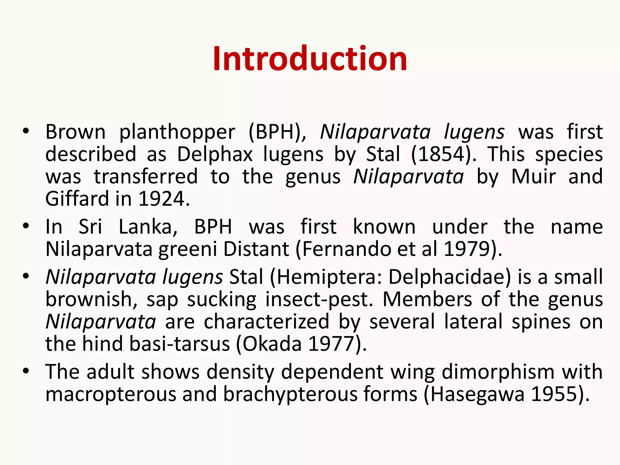 Biology and management of brown plant hopper ( | PPTX