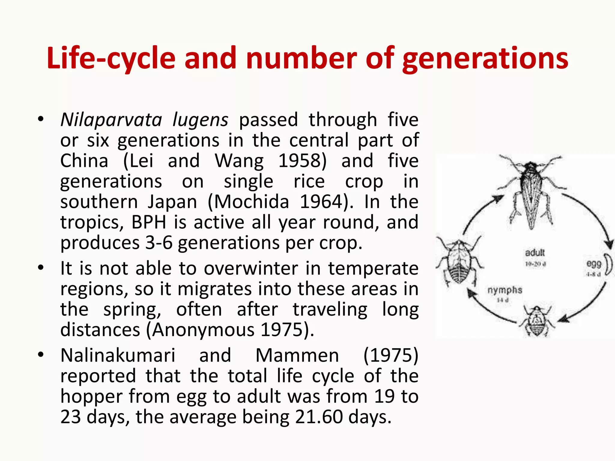 Biology and management of brown plant hopper ( | PPTX