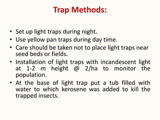 Biology and management of brown plant hopper ( | PPTX
