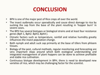 Biology and management of brown plant hopper ( | PPTX