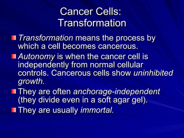 Biology And Pathophysiology Of Cancer | PPT | Cancer | Diseases and ...