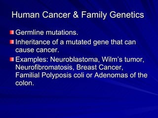 Biology And Pathophysiology Of Cancer | PPT