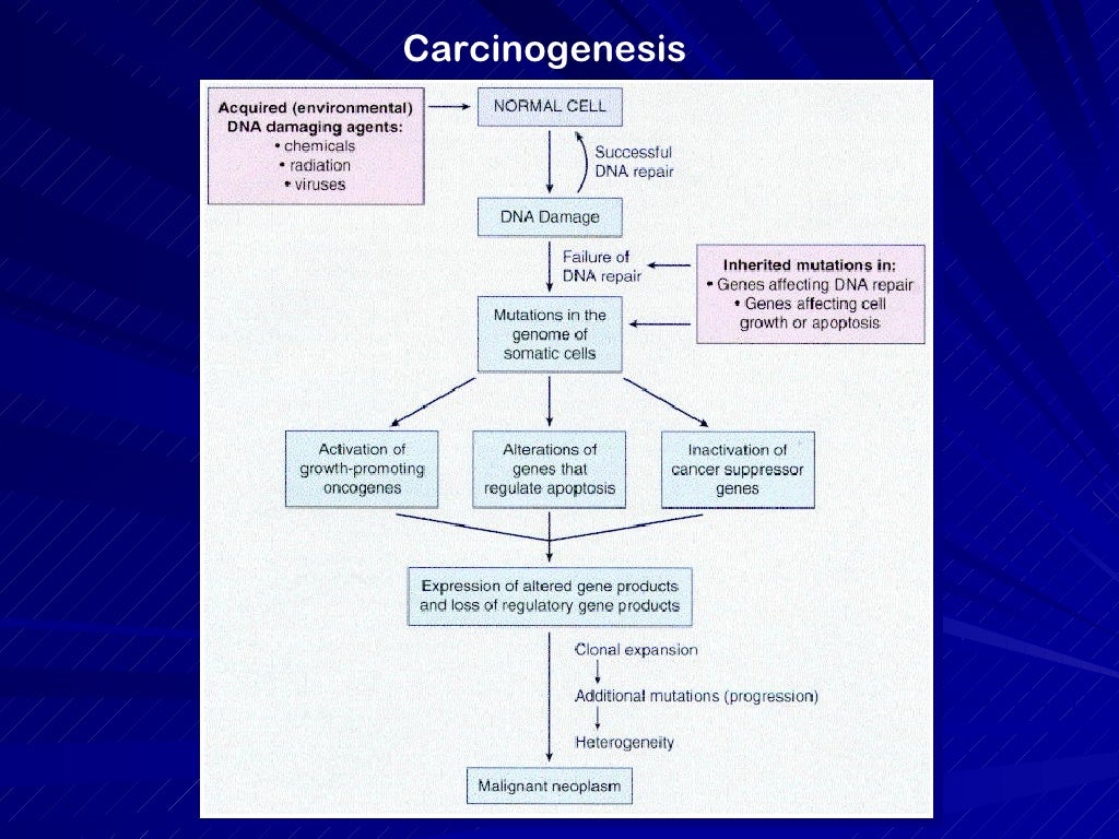 Biology And Pathophysiology Of Cancer
