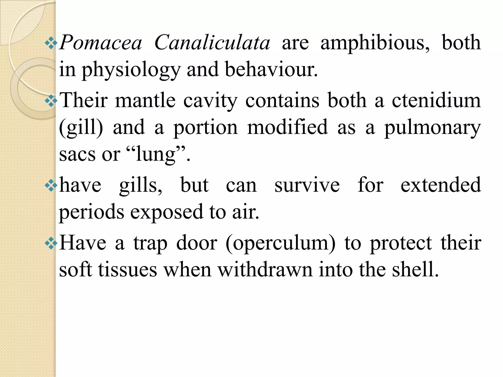 Biology and physiology of Pomacea Canaliculata | PPTX