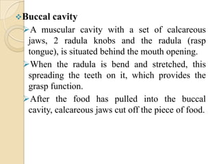 Biology and physiology of Pomacea Canaliculata | PPTX