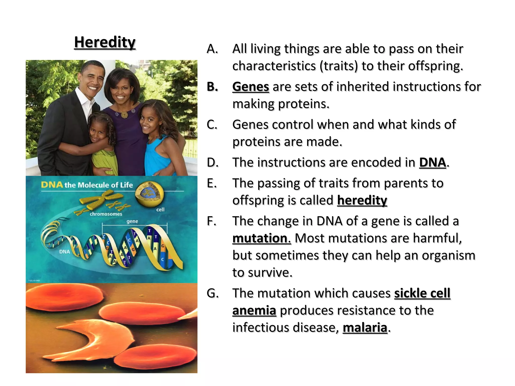 Biology and you chapter 1 | PPT