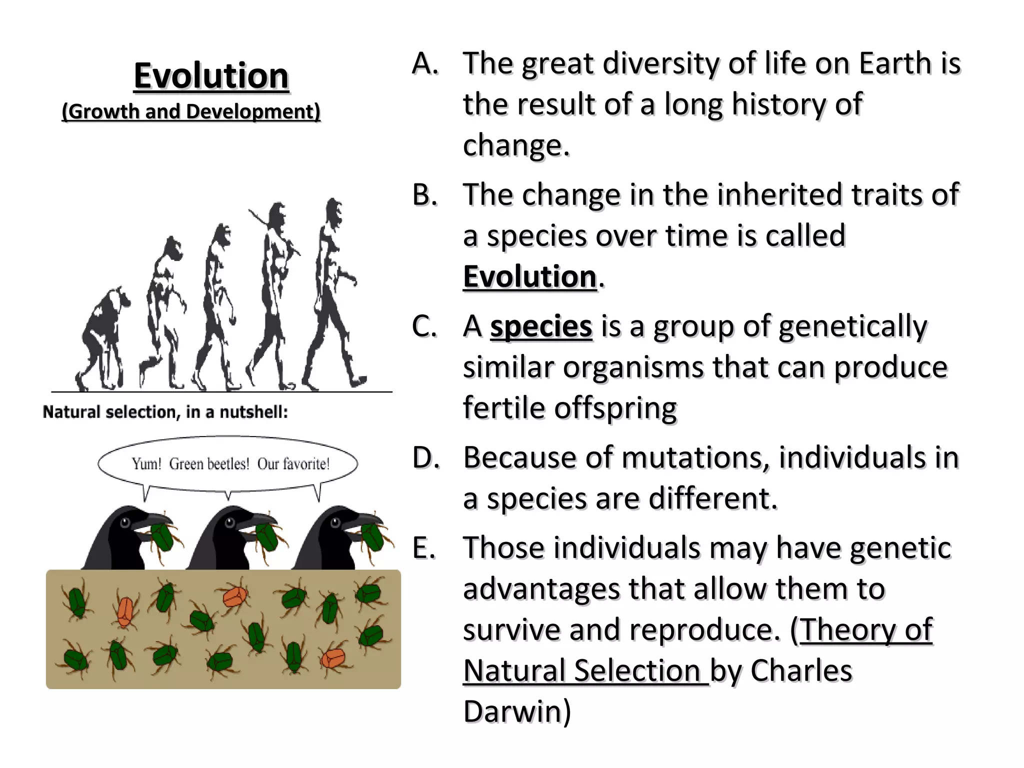 Biology and you chapter 1 | PPT