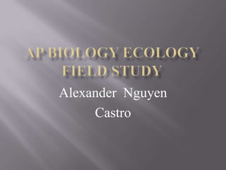 AP Biology Ecology Study Powerpoint | PPT