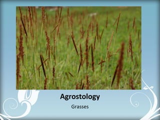 Biology as a Science | PPT