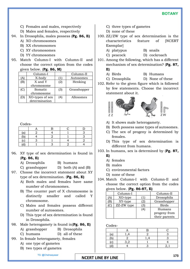Biology class 12 assignment neet level practise chapter wise | PDF