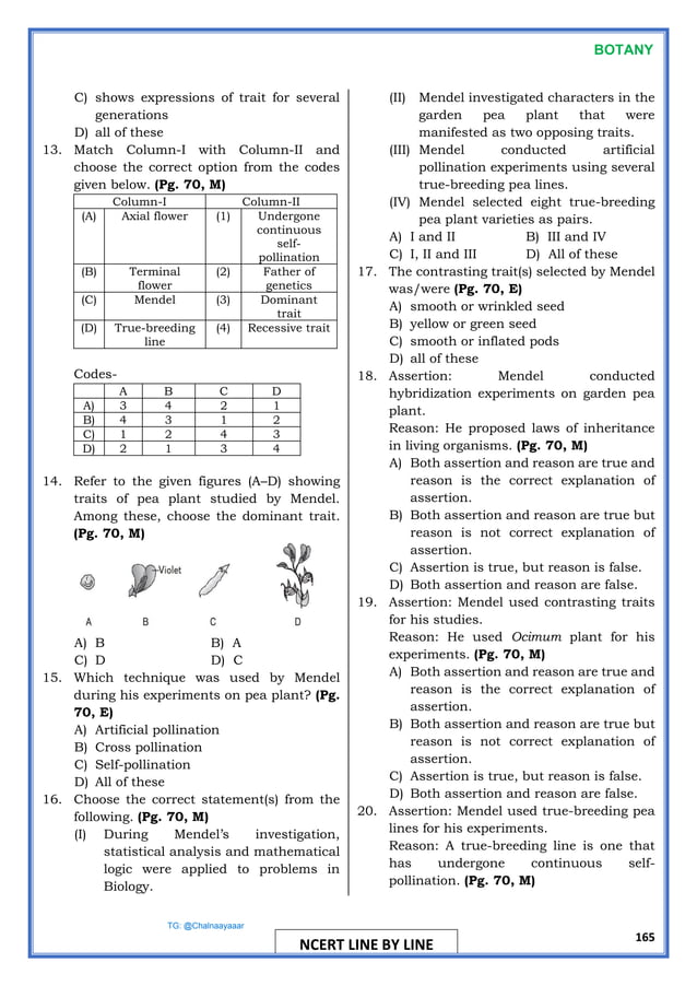 Biology class 12 assignment neet level practise chapter wise | PDF