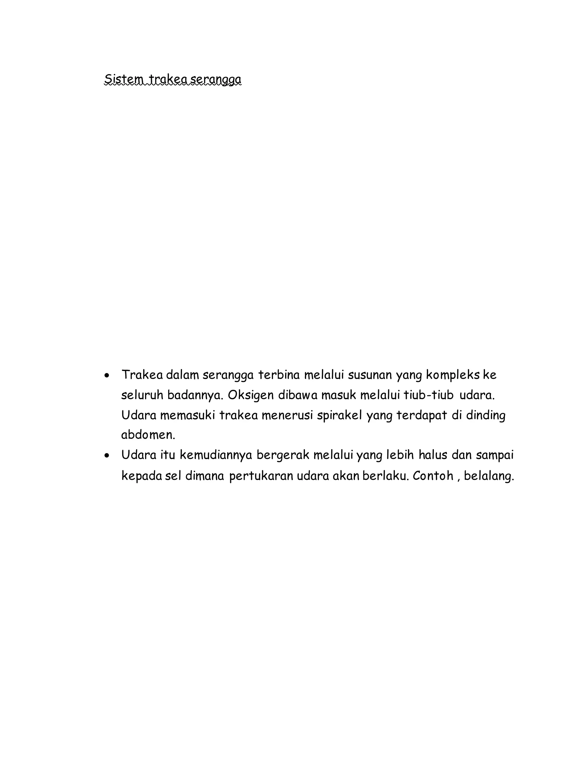 Biology Chapter 7 | DOCX