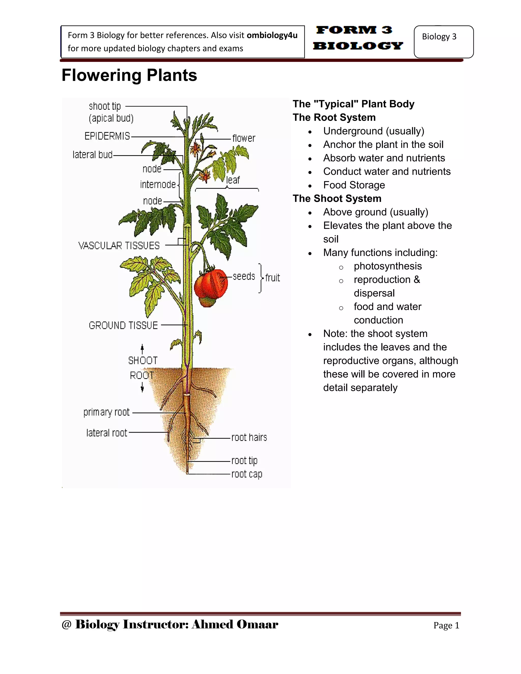 Form 3 Biology Book based on Somaliland Biology Syllabus by Ahmed Omaar ...