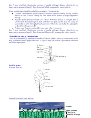 Biology(borniface) | PDF