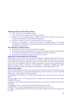Biology(borniface) | PDF