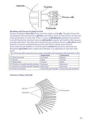 Biology(borniface) | PDF