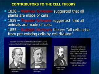 Biology cell theory-and-and spontaneuous generation | PPT