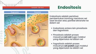 Biology Cell presentation in green white illustrative style (1).pdf