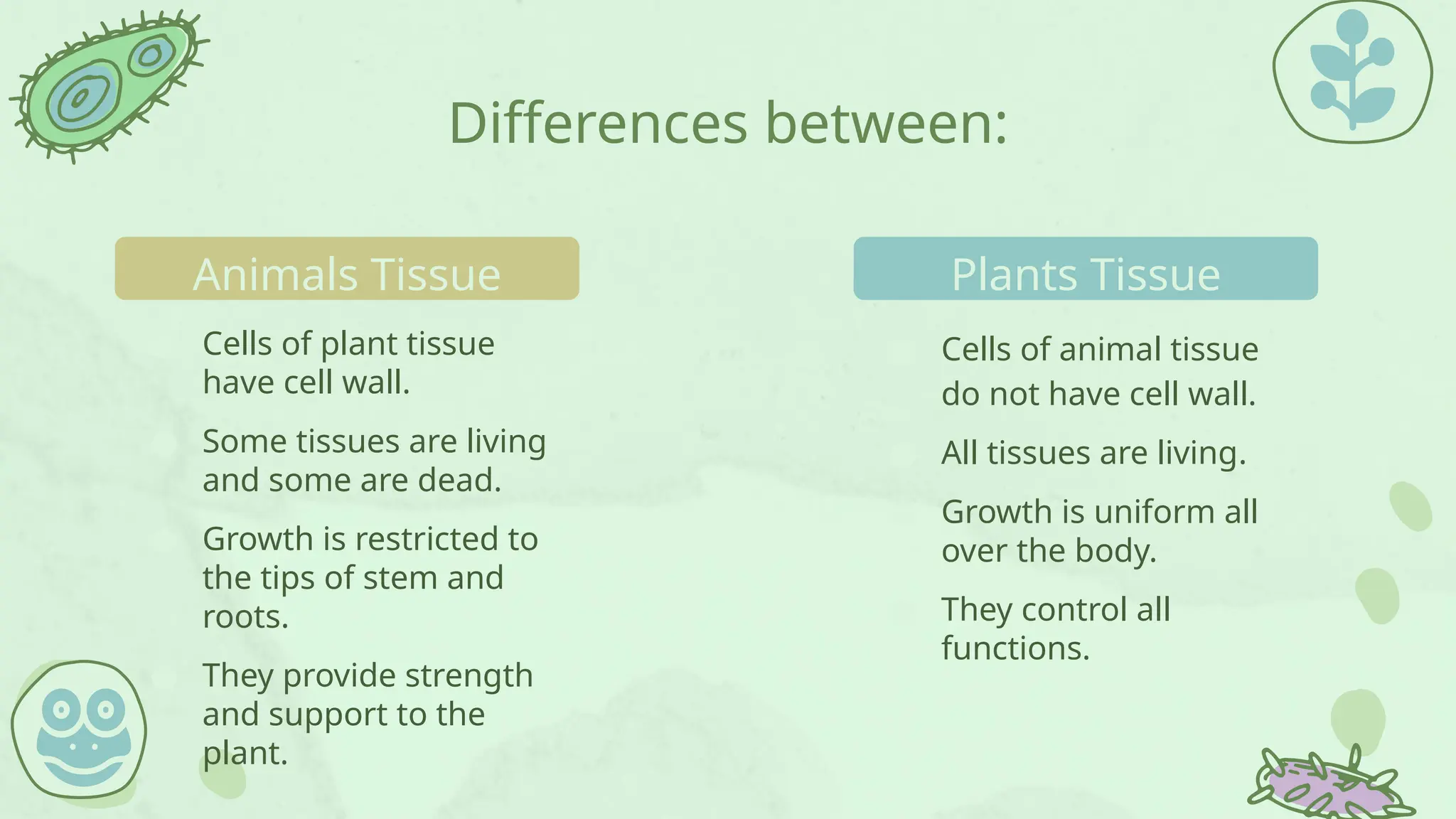 Science Presentation of Biology on Topic "Cell & Tissue" | PPTX